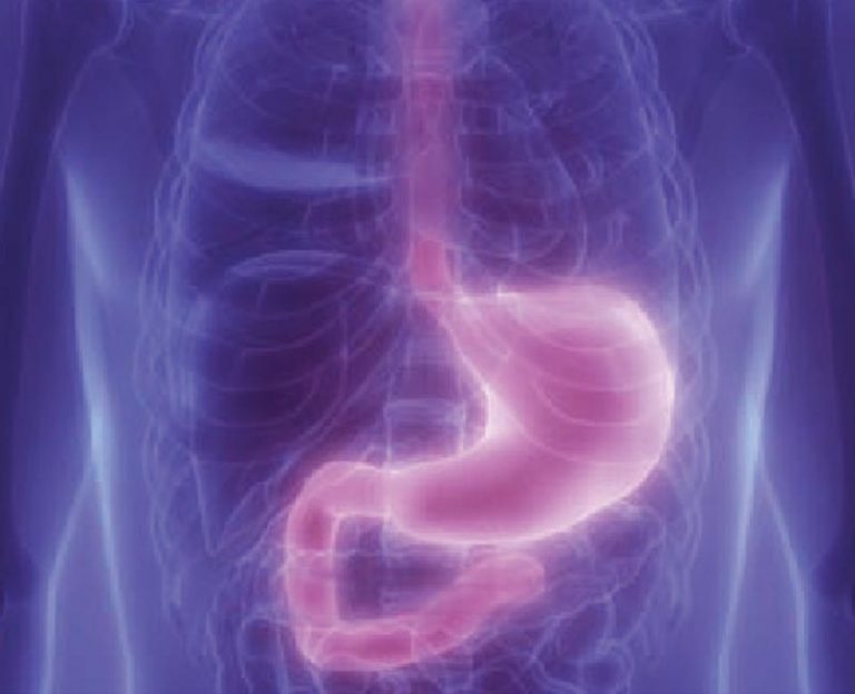 Harford Gastroenterology Associates | Upper Endoscopy - Harford ...